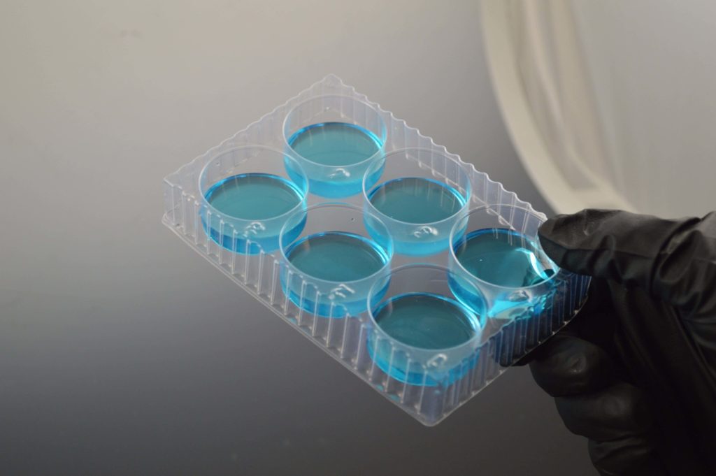 Teflon® PFA Well Plates | Teflon® Labware | Fluorolab